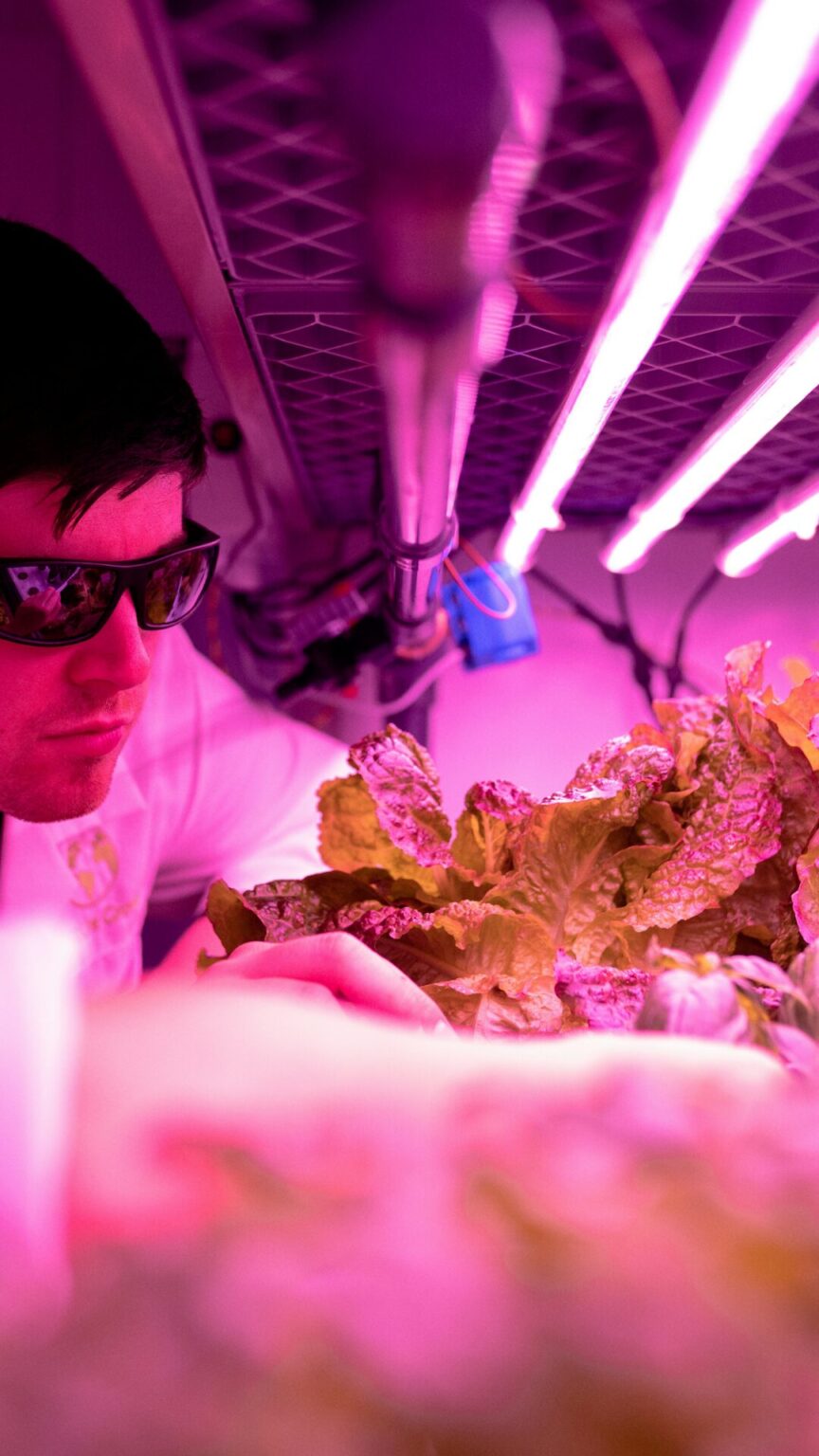 Genetic Engineering Revolutionizes Agriculture. - agrak